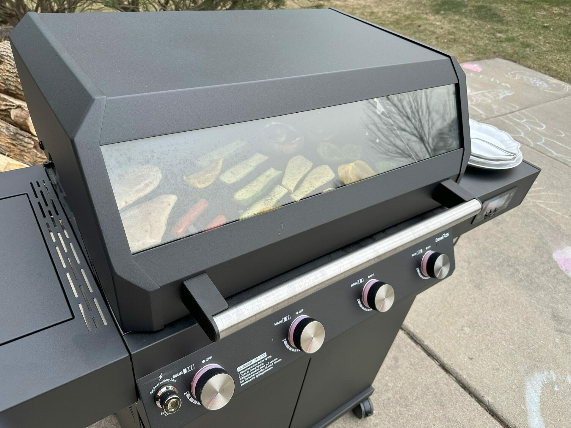 Monument Grills Denali Review - Smart Grilling for a Good Price ...
