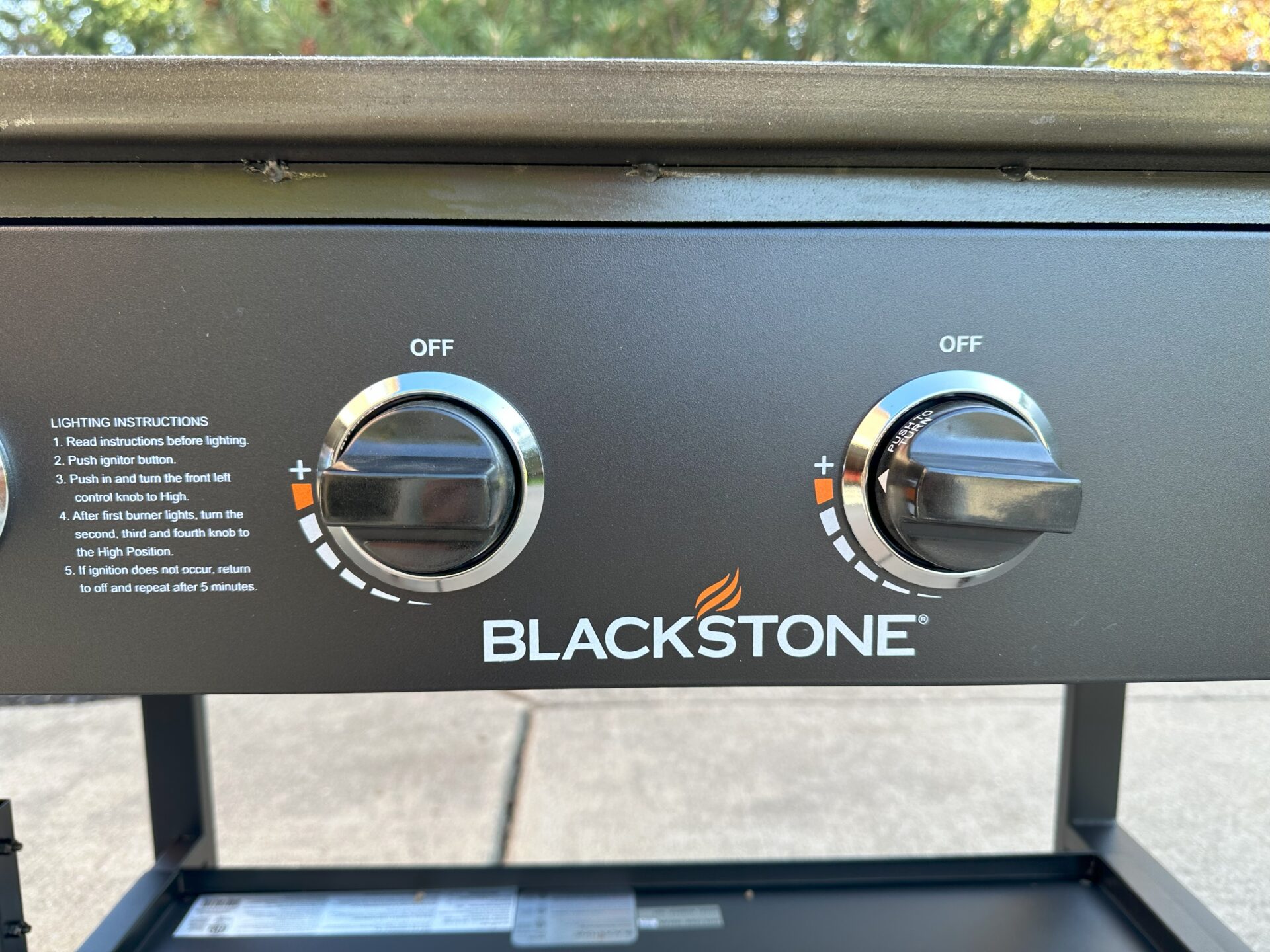 Blackstone Griddle Review - Great for Cooking Different Food All at ...